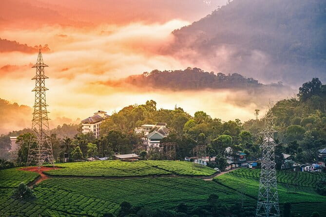 12 Hours Private Munnar Tour from Kochi - Key Points