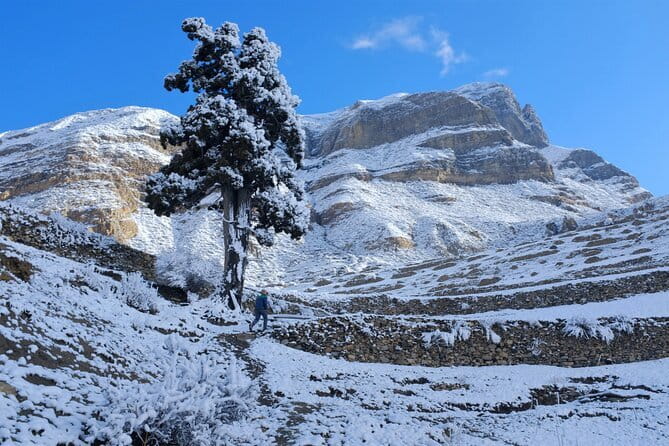 15 Days Round Annapurna Trek with Poon Hill from Pokhara - Introduction