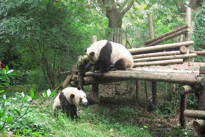 16-Day Private China Essence Tour with Yangtze River Cruise - Key Points