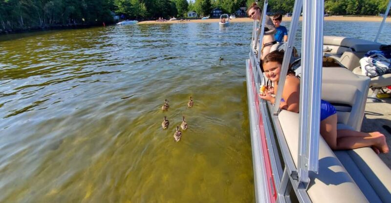 Maine: Penobscot Downriver Boat Rides - Wildlife and Photography Opportunities
