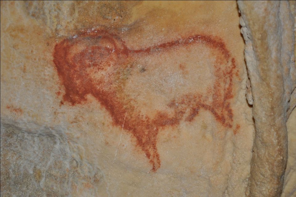 Sarlat : Private Tour to an Original Prehistoric Cave - FAQs