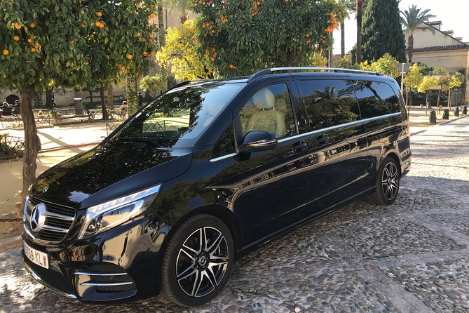 Transfer from the Airport to Madrid