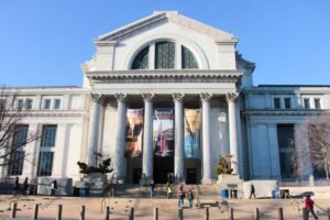 Washington DC: National Museum of Natural History Tour