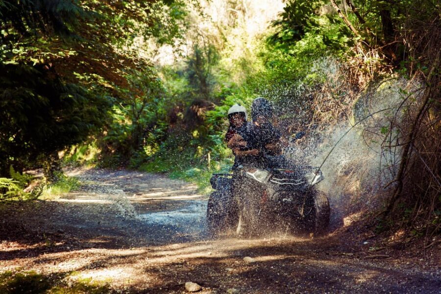 1h Quad Tour  Arcos de Valdevez  Peneda Gerês - Who Will Love This Tour?