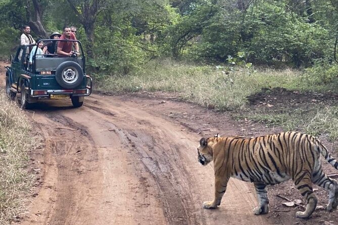 2 Days, 1 Night, Private Jaipur to Ranthambore Guided Tour - Key Points