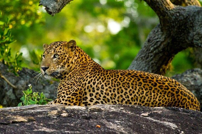 2 Days Tour of Double Safari (Yala & Udawalawe) - All Inclusive - Exploring the Itinerary in Detail