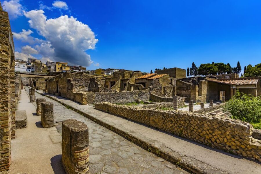 2-Hour Private Tour of the Ruins of Herculaneum - The Value Question: Is It Worth It?