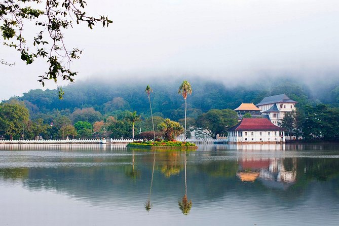 07 Days Highlights of Srilanka - What Travelers Say