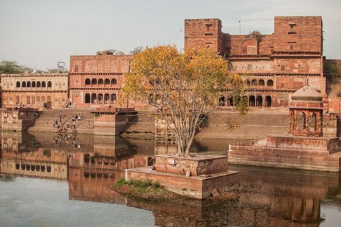 10 Days Delhi Agra Jaipur Tour with Rajasthan - What’s Included and What You’ll Experience
