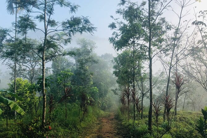 12 Hours Private Munnar Tour from Kochi - Who Will Love This Tour?