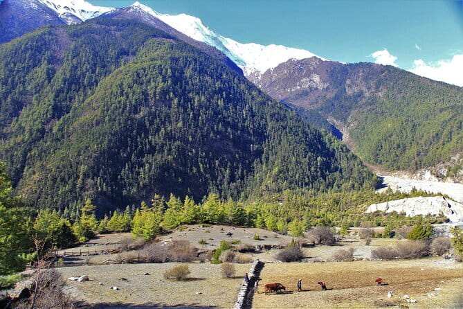 15 Days Round Annapurna Trek with Poon Hill from Pokhara - Trekking Through the Diverse Landscapes