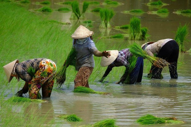 2-Day Mekong Delta and Floating Markets Private Tour - Frequently Asked Questions