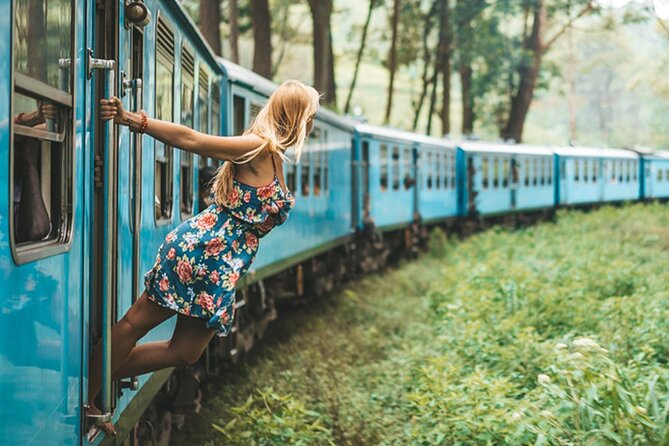 2 Day Tour of Yala & Ella with Hill Country Scenic Train Ride - All Inclusive - Why This Tour Is a Great Value