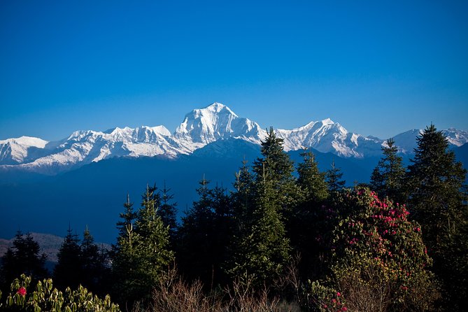 2 Days Australian Camp Trek from Pokhara - Why the Australian Camp Trek Offers Great Value