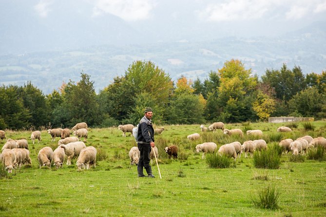 2 Days Tour in Transylvania from Bucharest - Value and Practicalities