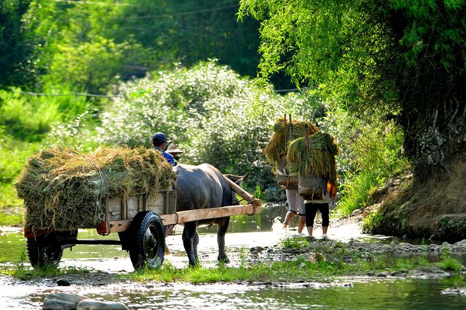 3-Day Trekking In Pu Luong Nature Reserve Private Tour - Transport and Logistics
