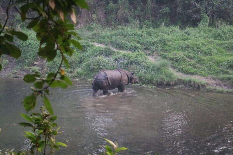 3 Days Chitwan Safari - Day 1: Arrival and Cultural Welcome