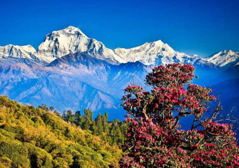 3 Days Pokhara Tour from Kathmandu - Exploring the Details of the 3-Day Pokhara Tour