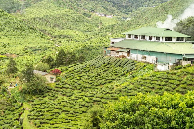 4 Days Best of Kerala Tour with Private Houseboat, Sightseeing & Car - A Closer Look at the Itinerary