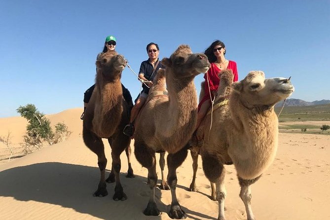 4 Days-The Best of Mongolia Collection tour - What Travelers Say: Authentic Experiences and High Value