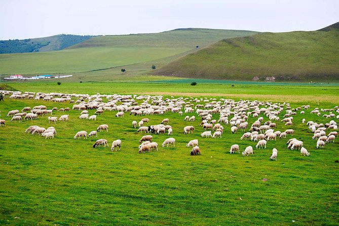 4 Days Tour: Central Mongolia - An Overview of the 4-Day Itinerary