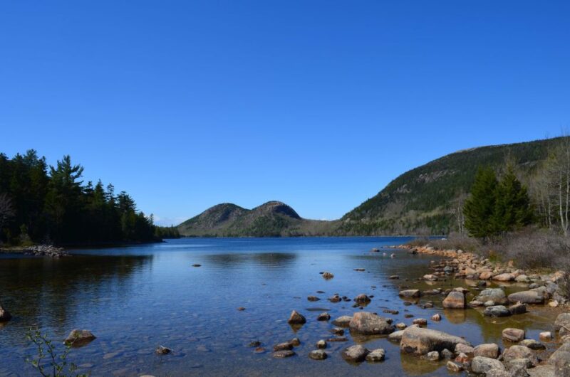 4 Hour Private Tour: Acadia, Fjord, Gardens & Mansions - Who Should Consider This Tour?