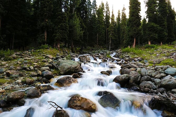5 Days and 4 Nights Private Tour of Kashmir - Who Will Love This Tour?