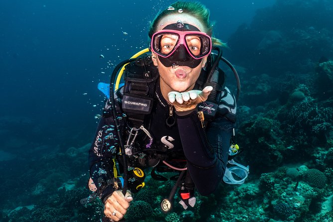 5 Fun Dives in Pemuteran (for certified divers) - Exploration in Menjangan Park - The Dive Center Experience: Why Travelers Rave