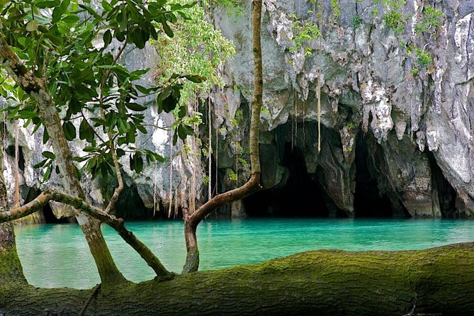 5D4N Puerto Princesa & El Nido Experience - What Travelers Say: Real Experiences from Reviews