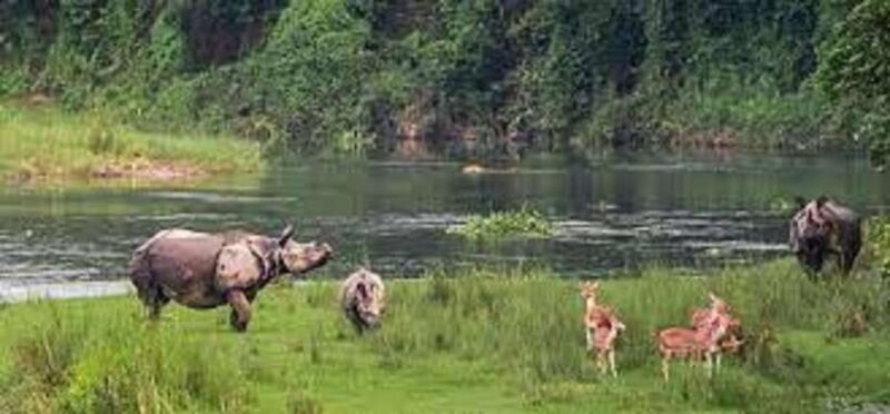 6 night 7 days Kathmandu Pokhara Chitwan Tour - Final Thoughts