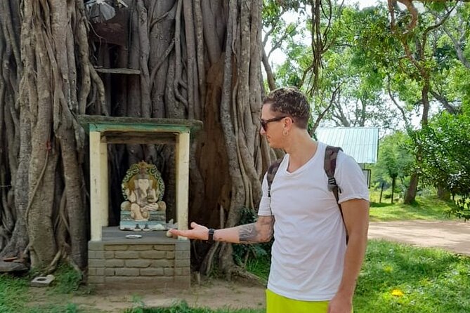 7-day tour in Sri Lanka - The Sum Up