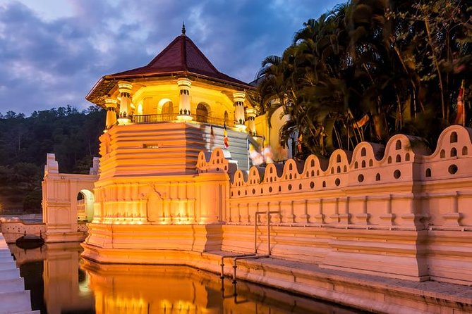 7 Days 6 Nights Package Tour with Holiday Walkers Sri Lanka - Who Is This Tour Best For?