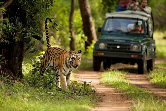 7 Days Golden Triangle Tour with Ranthambore: Delhi Agra Jaipur - Day 2 & 3: Agra and the Iconic Taj Mahal