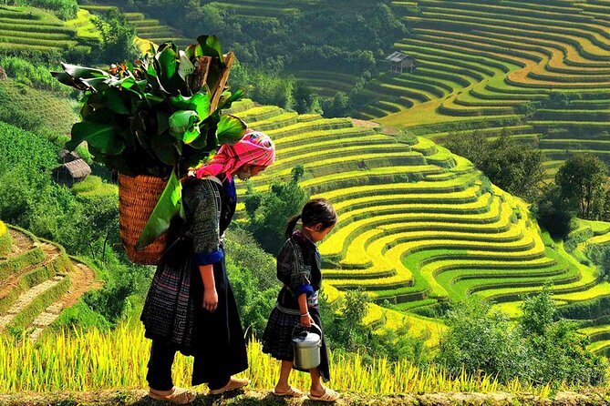 7 Days Vietnam Travel (Hanoi- Ninh Binh - Sapa - Ha Long) - FAQ