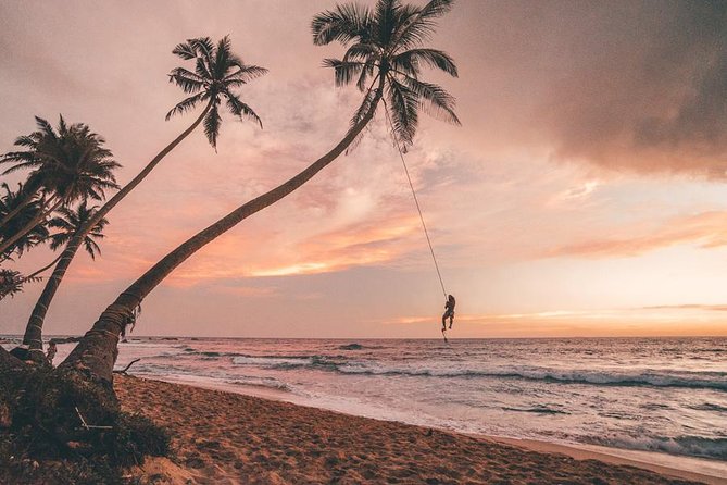 7 Nights Private Tour Of Sri Lanka - Transport and Accommodation