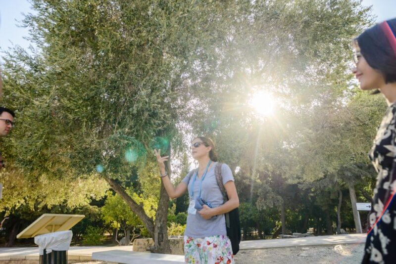 Acropolis: Acropolis and Parthenon Guided Walking Tour - A Deep Dive into the Experience
