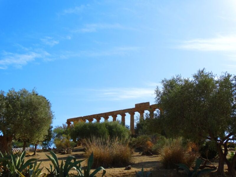 Agrigento: Valley of the Temples Private Tour - Who Will Enjoy This Tour?