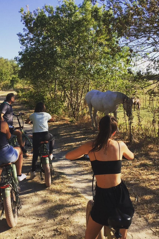 Aigues Mortes: safari en vélo - Ebike tour in Camargue - Final Thoughts: Who Will Love This Tour?