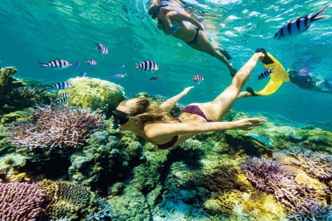 (ALL- IN) Bali Snorkeling Blue Lagoon And Tanjung Jepun - Final Thoughts: Is This Tour for You?