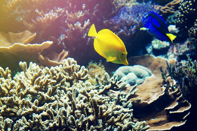 (ALL- IN) Bali Snorkeling Blue Lagoon with Waterfall - What to Bring and Practical Tips