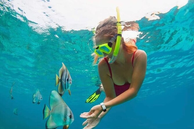 All Inclusive Blue Lagoon Snorkeling with Bali ATV Quad Adventure - Who Should Consider This Tour?