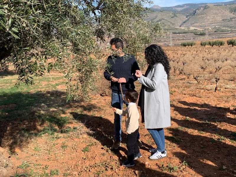 Almería: Wine tour and aperitif from La Alpujarra in Winery - An In-Depth Look at the Experience