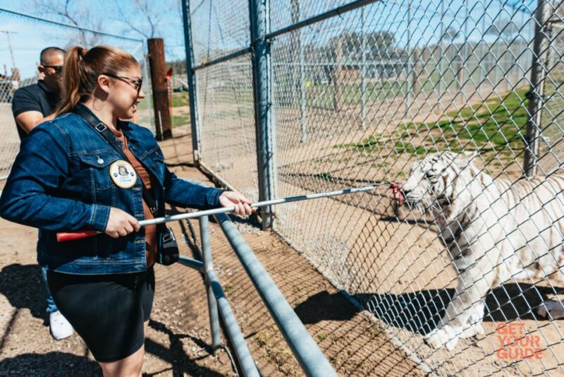 Alpine: Lions Tigers & Bears Sanctuary Visit and Feeding - A Closer Look at the Experience