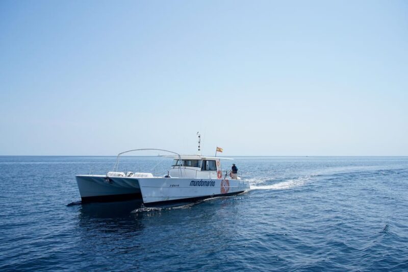 Altea: Beaches and Coves Boat Trip with Lunch - The Experience and Its Value