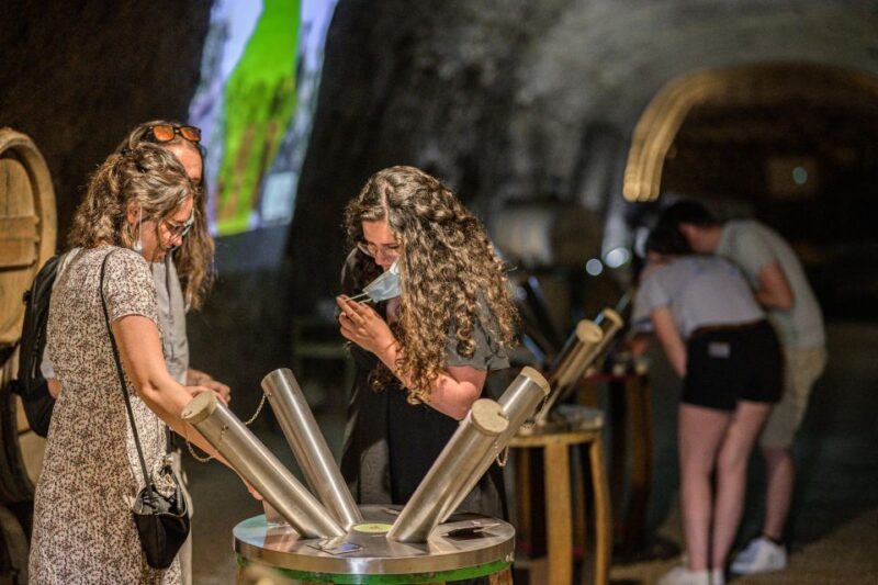 Amboise: Caves Ambacia Visit and Wine Tasting - The Historical and Sensory Appeal