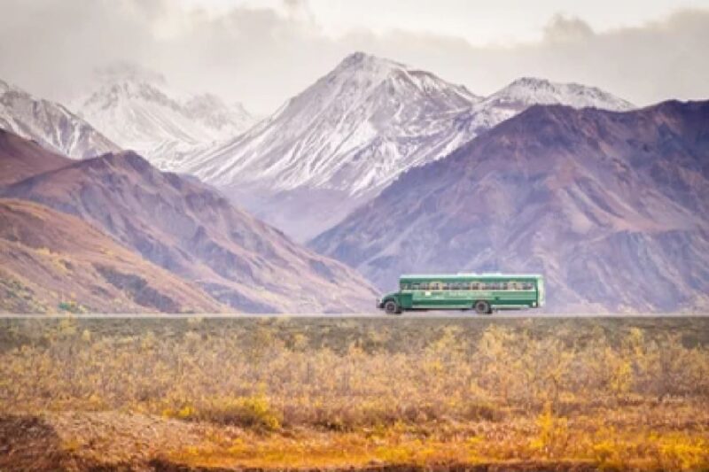 Anchorage: Kenai Fjords & Denali National Park 5 Day Tour - What’s Included and What to Expect