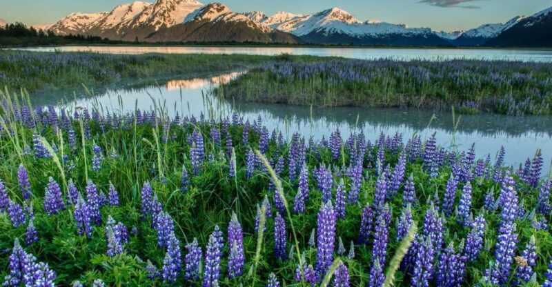 Anchorage: Turnagain Arm Highlights Photography Day Trip - Itinerary Breakdown