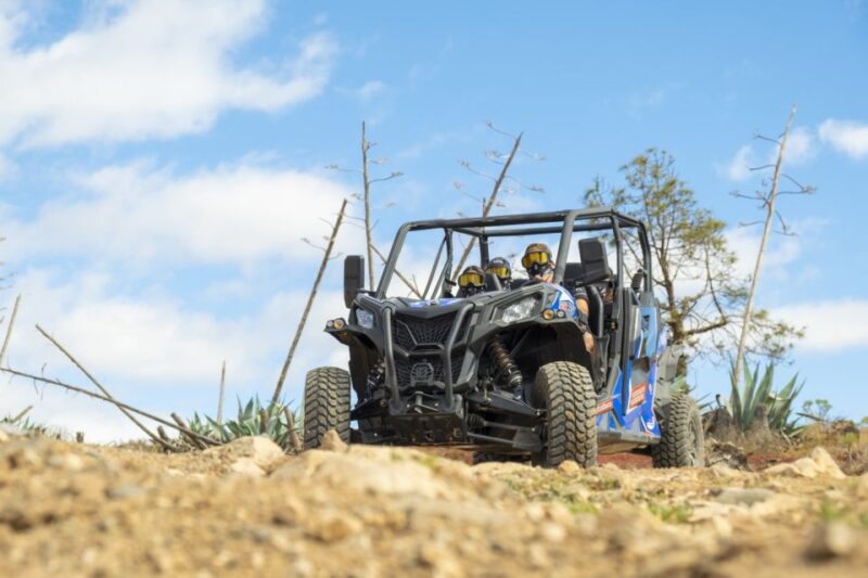 Anfi beach: Guided Buggy Tour. - Value and Practical Details