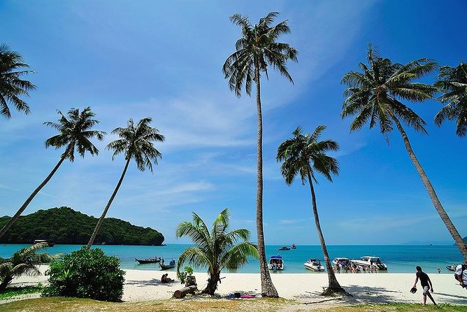 Angthong National Marine Park by Speed Boat with Snorkeling & Kayaking - Analyzing the Value: Is It Worth the Price?