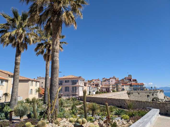 Antibes: 2 hour walking tour in the old town - What Makes This Tour Special?